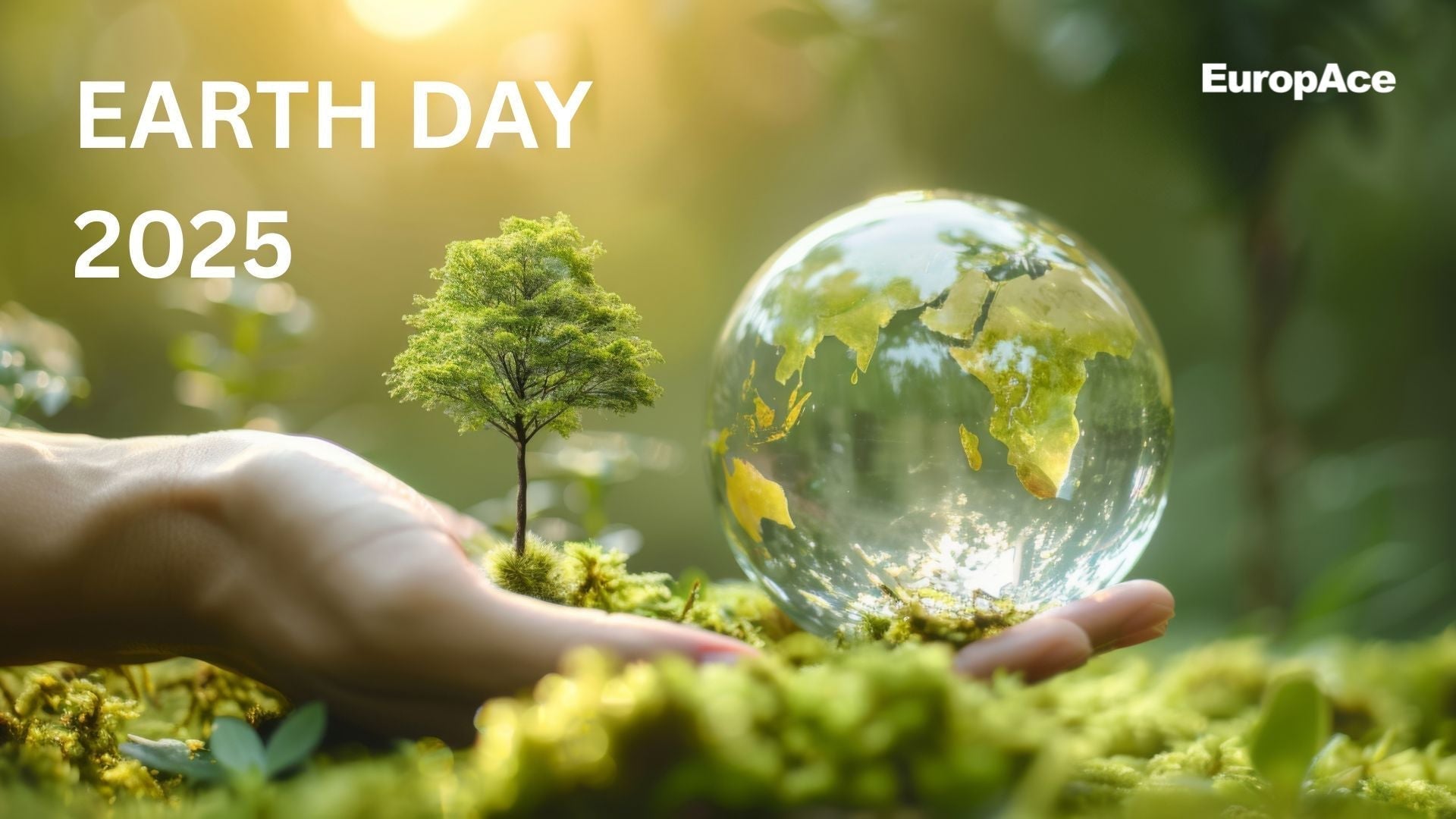 Celebrating Earth Day: Small Choices, Big Impact with EuropAce